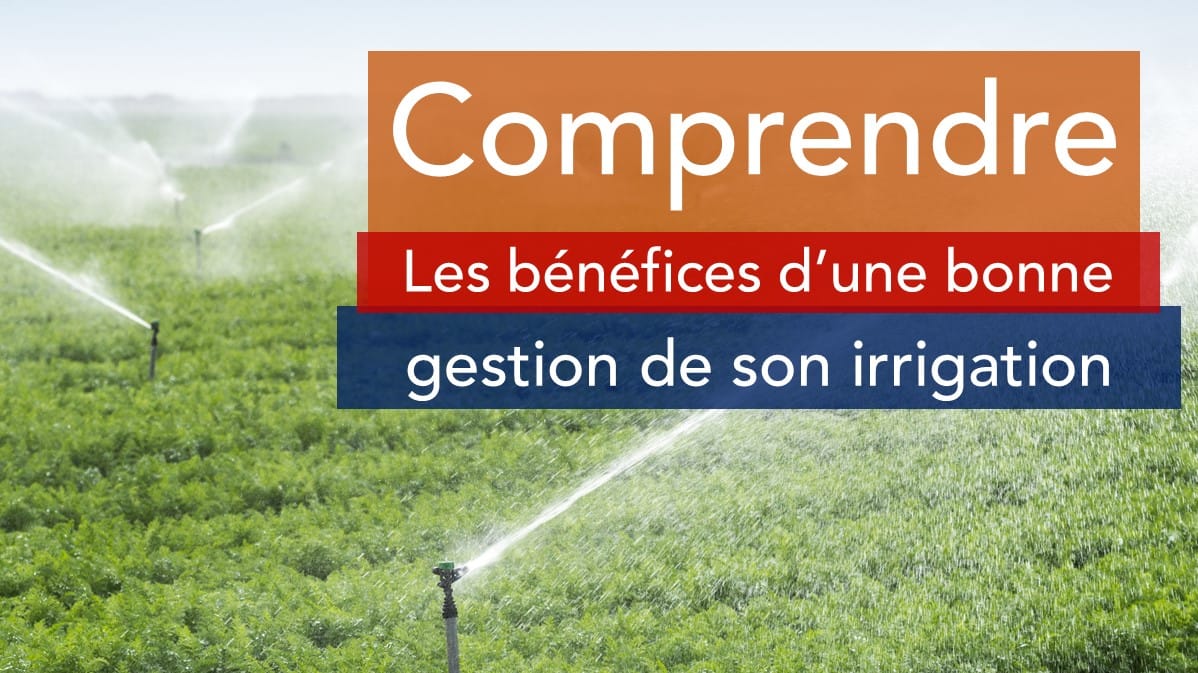 Les bénéfices d’une bonne gestion de l’irrigation - Soverdi