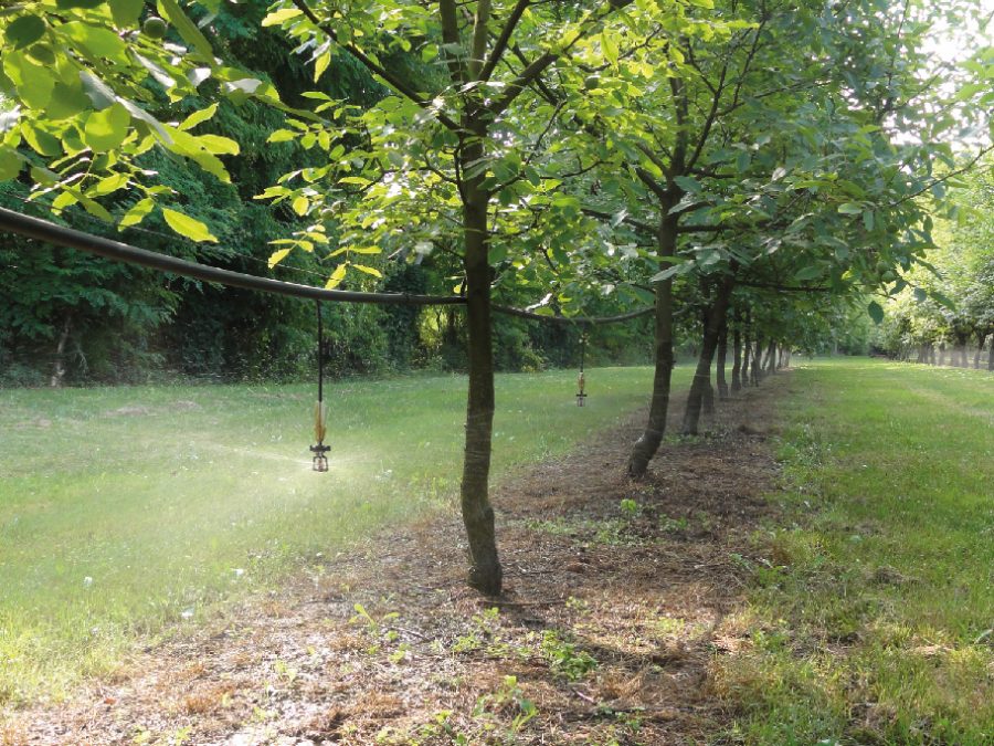 Soverdi - La maitrise de l'irrigation